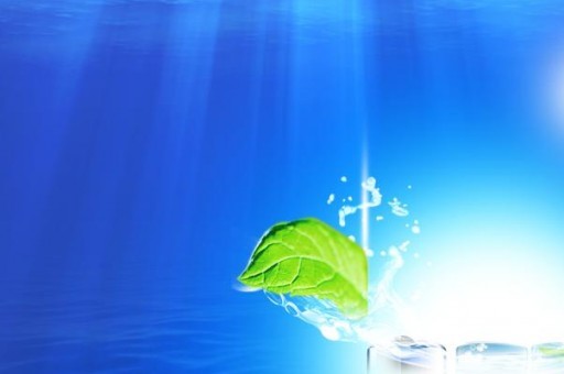 美联储大放鸽声，12月降息概率高达84%！有色龙头ETF（159876）盘中摸高0.8%，近10日吸金2亿元 - 东海用户投稿 - 东海毕方常识网